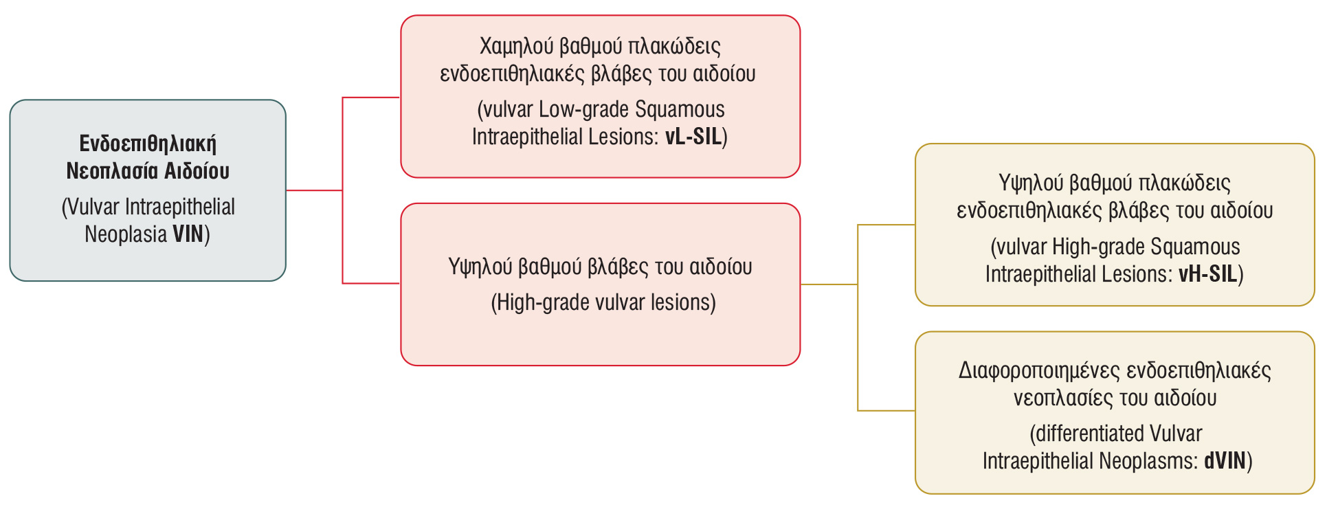 VIN (Vulvar Intraepithelial Neoplasia) – hdvr